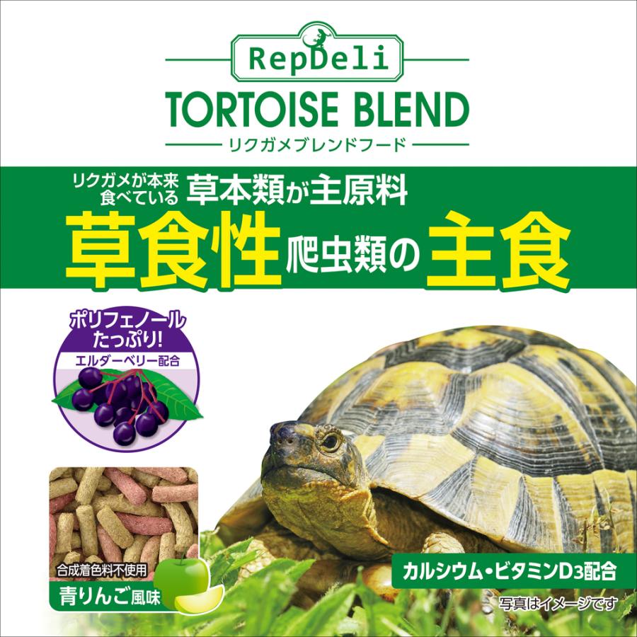 GEX エキゾテラ リクガメブレンドフード 400g 草食のリクガメ・トカゲにオススメ！ : 311426 : チャーム charm ヤフー店 - 通販 - Yahoo!ショッピング