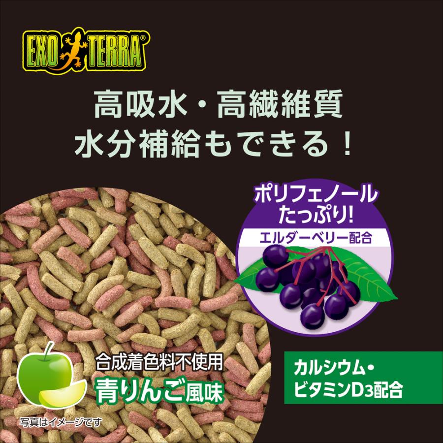 GEX エキゾテラ リクガメブレンドフード 400g 草食のリクガメ・トカゲにオススメ！ : 311426 : チャーム charm ヤフー店 - 通販 - Yahoo!ショッピング