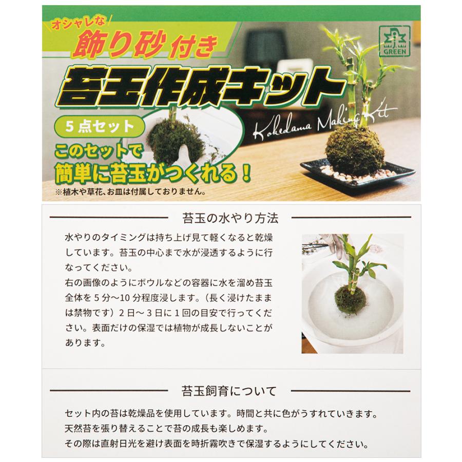JUN J．GREEN 苔玉作成キット（5点セット） : チャーム charm ヤフー店 - 通販 - Yahoo!ショッピング