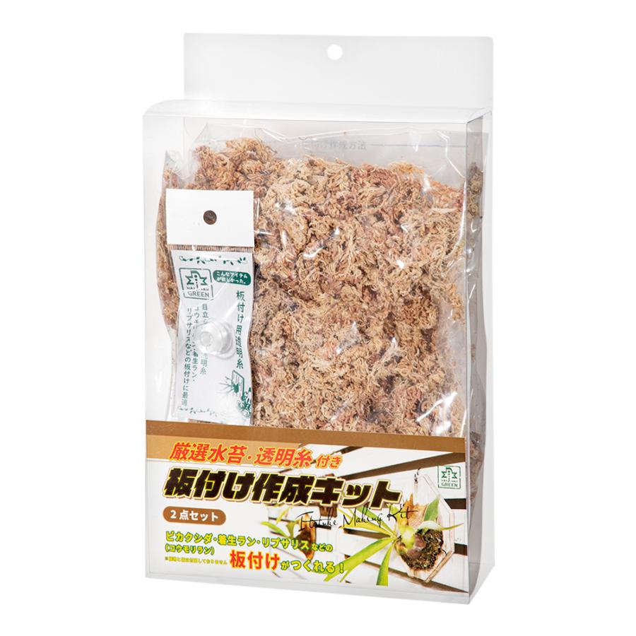 JUN J．GREEN 板付け作成キット （2点セット） ビカクシダ 着生ラン : チャーム charm ヤフー店 - 通販 - Yahoo!ショッピング