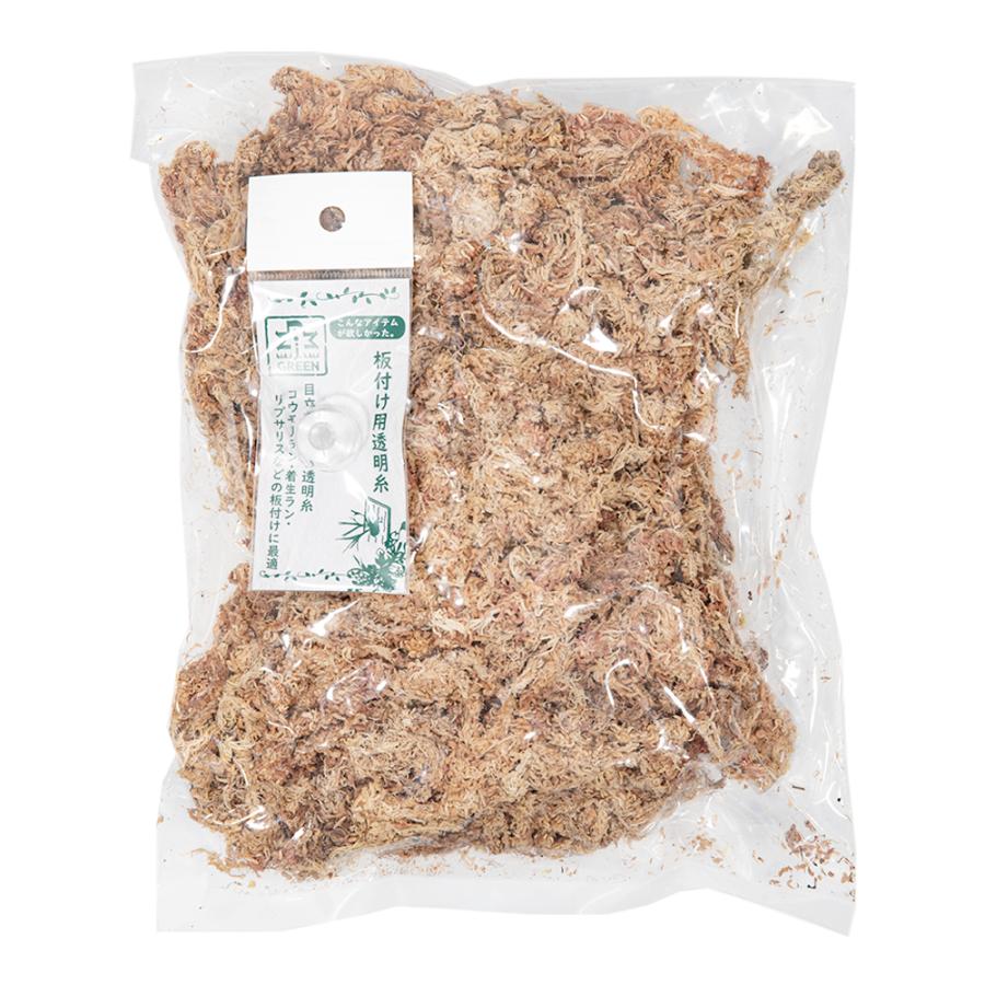 JUN J．GREEN 板付け作成キット （2点セット） ビカクシダ 着生ラン : チャーム charm ヤフー店 - 通販 - Yahoo!ショッピング