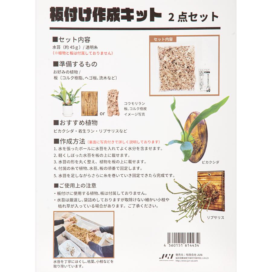 JUN J．GREEN 板付け作成キット （2点セット） ビカクシダ 着生ラン : チャーム charm ヤフー店 - 通販 - Yahoo!ショッピング