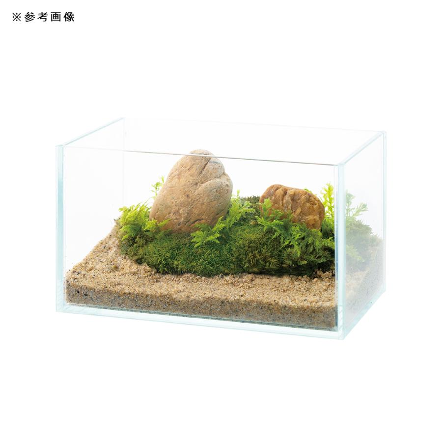 水作 ソコニワベース130F テラリウム水槽 : 312625 : チャーム charm ヤフー店 - 通販 - Yahoo!ショッピング
