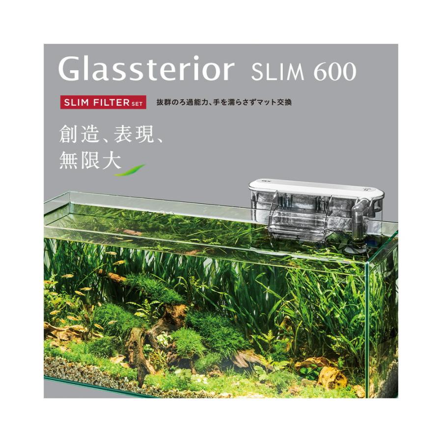 GEX ガラス水槽 グラステリア600スリム スリムフィルターセット USBアダプター付 60×20×25cm 60cm水槽 : チャーム charm ヤフー店 - 通販 - Yahoo!ショッピング