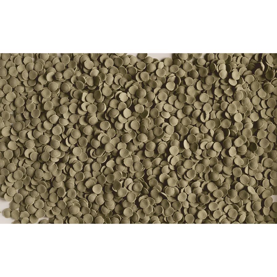 テトラ プレコ 200g : チャーム charm ヤフー店 - 通販 - Yahoo!ショッピング