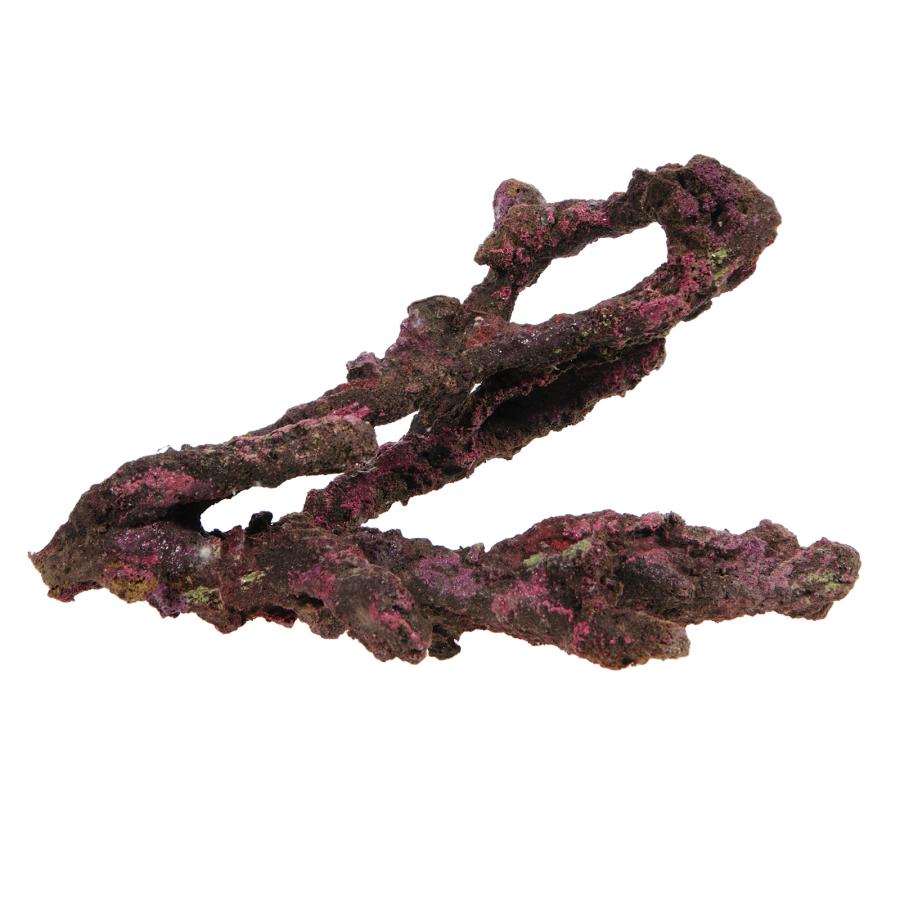 ORCA OCEAN ROCK JB♯6 27×17×19cm ライブロックレプリカ : チャーム charm ヤフー店 - 通販 - Yahoo!ショッピング