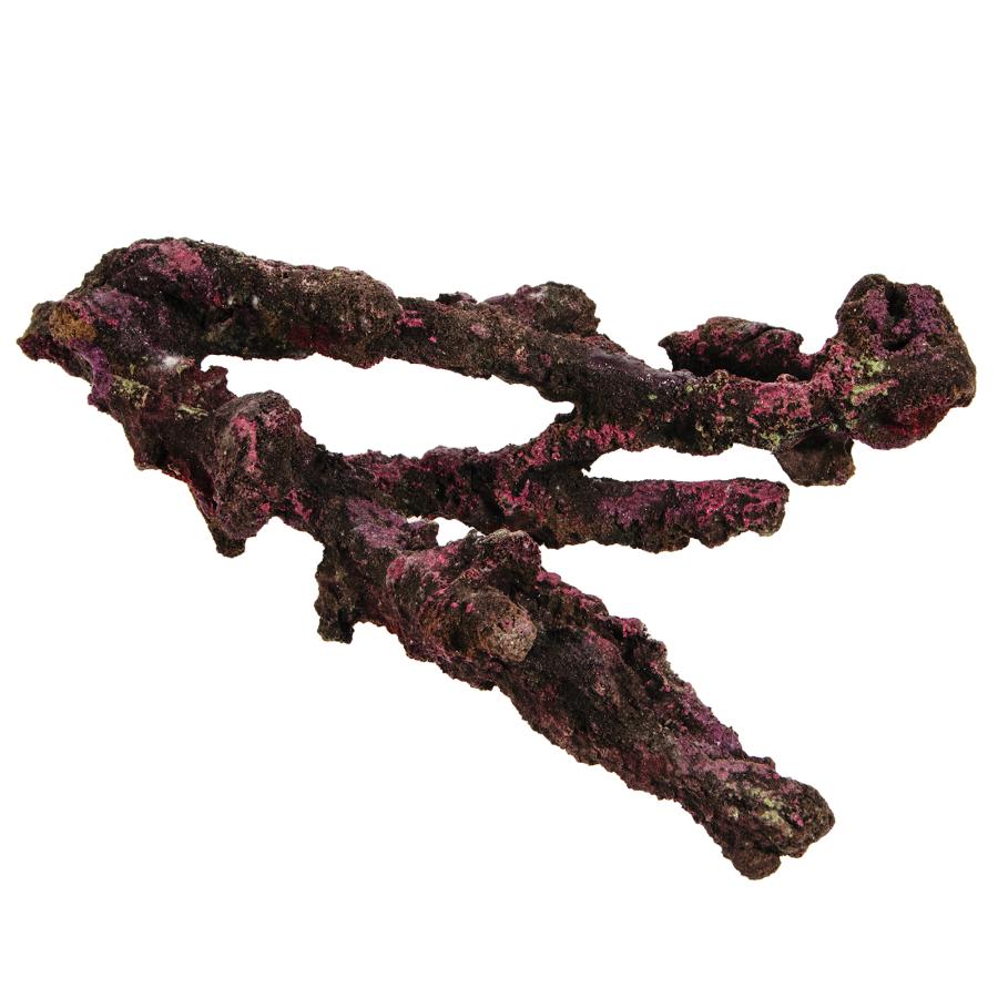 ORCA OCEAN ROCK JB♯6 27×17×19cm ライブロックレプリカ : チャーム charm ヤフー店 - 通販 - Yahoo!ショッピング