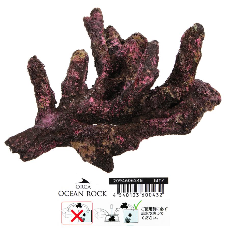ORCA OCEAN ROCK JB♯7 24×13×20cm ライブロックレプリカ : チャーム charm ヤフー店 - 通販 - Yahoo!ショッピング