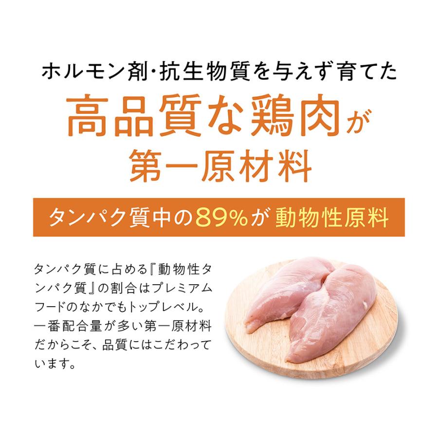 GEX Catit Recipes ADULT 400g チキン 成猫 : チャーム charm ヤフー店 - 通販 - Yahoo!ショッピング