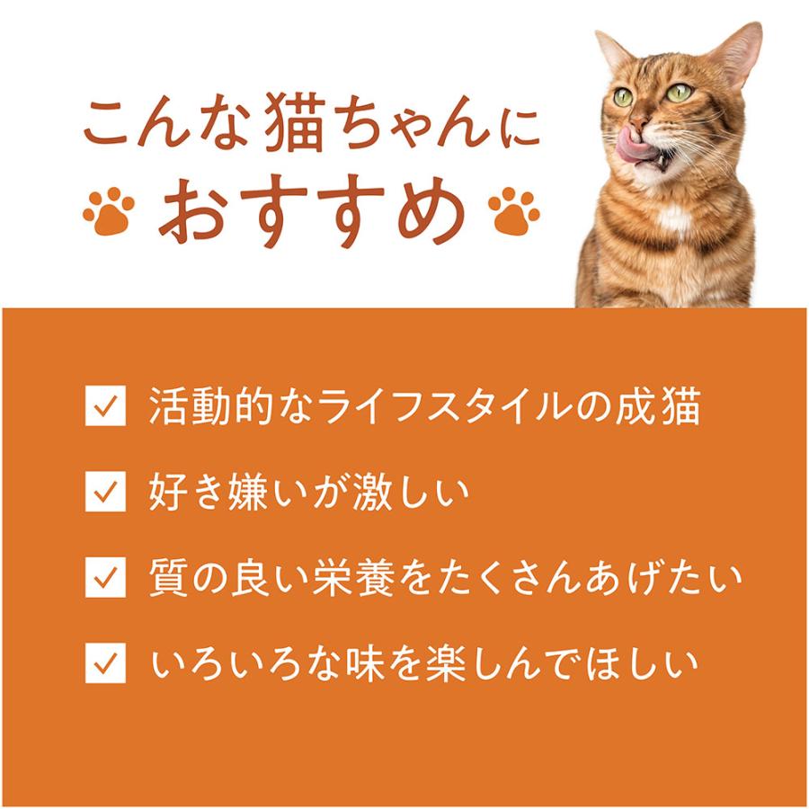 GEX Catit Recipes ADULT 400g チキン 成猫 : チャーム charm ヤフー店 - 通販 - Yahoo!ショッピング