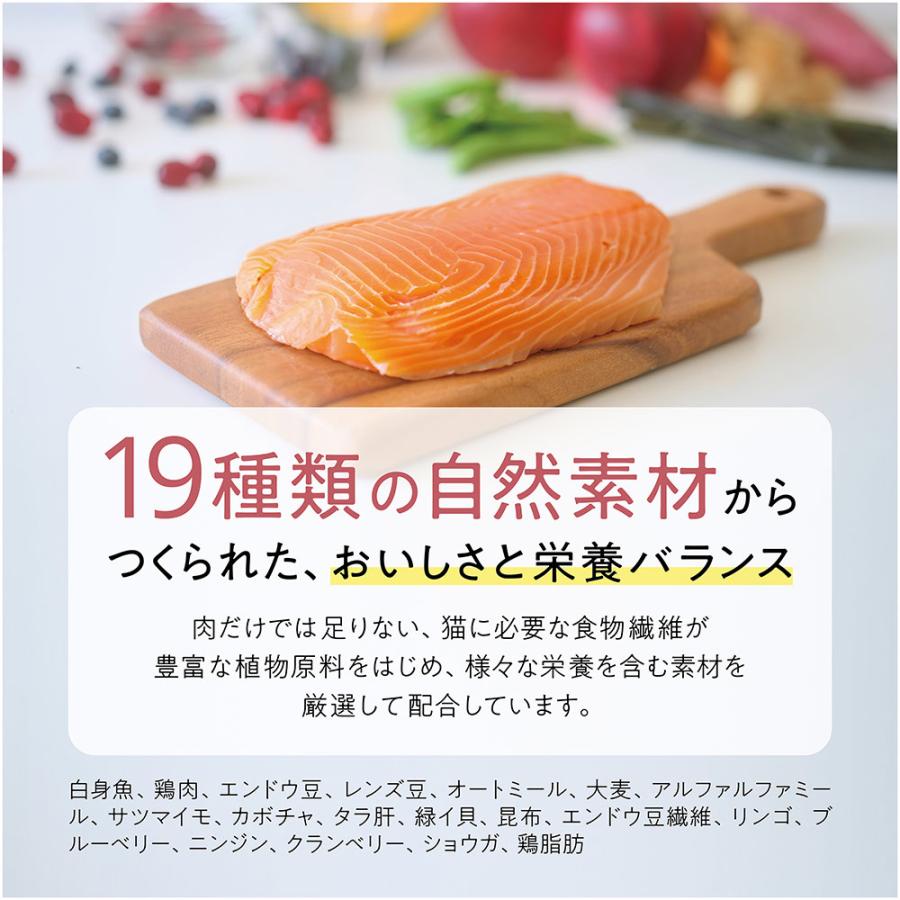 GEX Catit Recipes SKIN＆COAT 400g フィッシュ 成猫 : チャーム charm ヤフー店 - 通販 - Yahoo!ショッピング