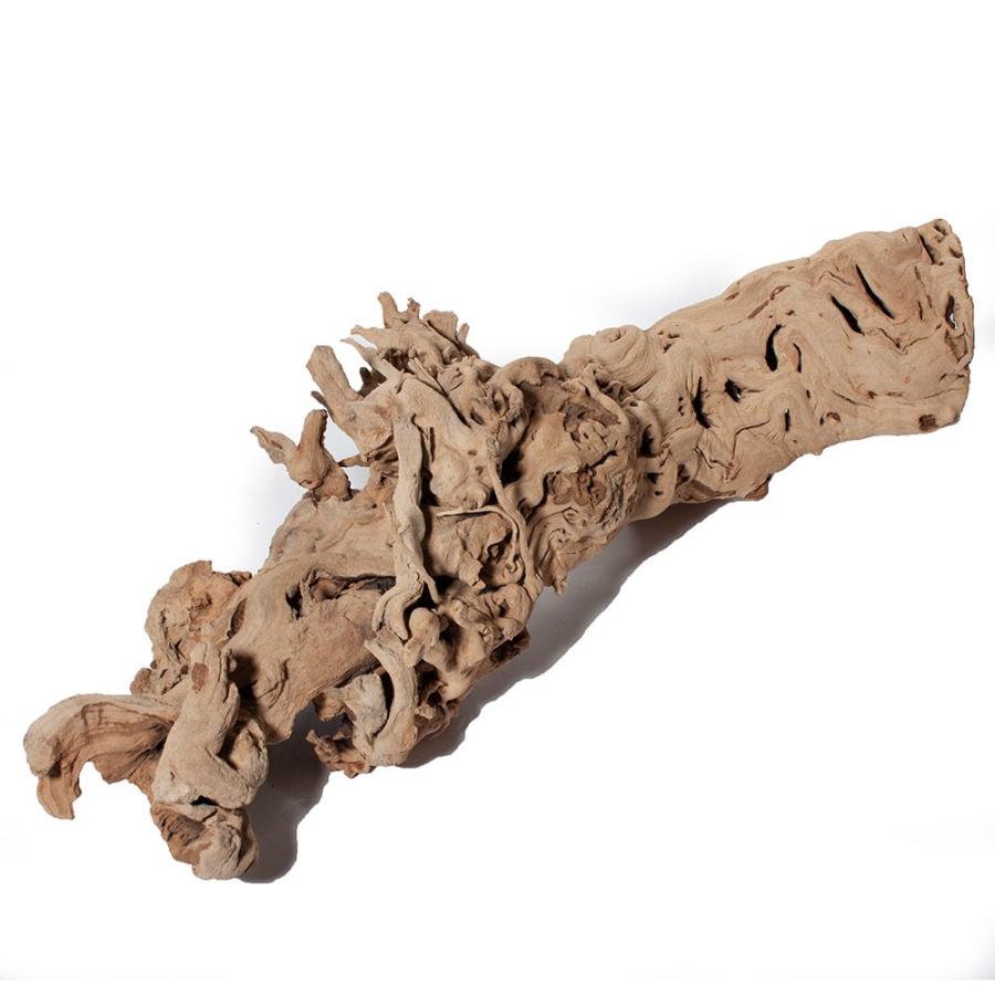 一点物 ぶどうの木 爬虫類 小動物 グレープバイン スタンプ 315328 : チャーム charm ヤフー店 - 通販 - Yahoo!ショッピング