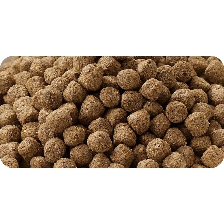 日本ペットフード バーディー ダックフード 1．8kg : チャーム charm ヤフー店 - 通販 - Yahoo!ショッピング