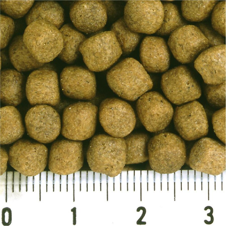 鯉の餌 キョーリン 咲ひかり 育成用 浮上 M 5kg×2 錦鯉 餌 飼料 お一人様1点限り : チャーム charm ヤフー店 - 通販 - Yahoo!ショッピング