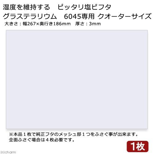 Leaf Corp 湿度を維持する ピッタリ塩ビフタ グラステラリウム 6045専用 クオーターサイズ : チャーム charm ヤフー店 - 通販 - Yahoo!ショッピング