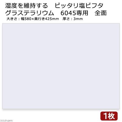 Leaf Corp 湿度を維持する ピッタリ塩ビフタ グラステラリウム 6045専用 全面 : チャーム charm ヤフー店 - 通販 - Yahoo!ショッピング