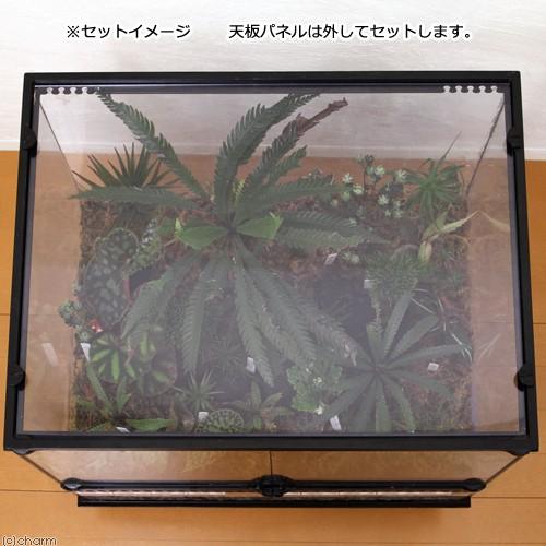 Leaf Corp 湿度を維持する ピッタリ塩ビフタ グラステラリウム 6045専用 全面 : チャーム charm ヤフー店 - 通販 - Yahoo!ショッピング