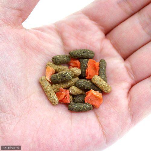 GEX（ジェックス） シートン ウサギの健康食 にんじんプラス 850g うさぎ フード : チャーム charm ヤフー店 - 通販 - Yahoo!ショッピング