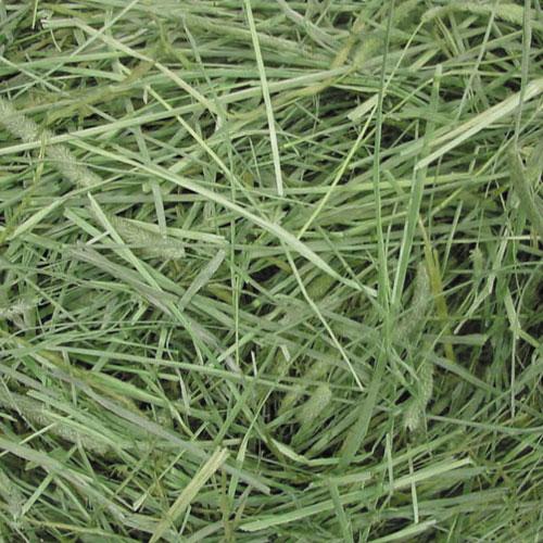 GEX GEX ラビットプレミアムチモシー 500g うさぎ 小動物 牧草 ジェックス : チャーム charm ヤフー店 - 通販 - Yahoo!ショッピング