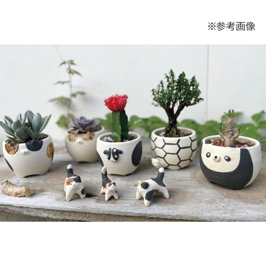 信楽焼 植木鉢 にゅーぎゅー : 940210 : チャーム charm ヤフー店 - 通販 - Yahoo!ショッピング