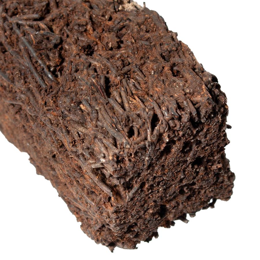 ヘゴ支柱 S 45cm W3×D3×H45cm : チャーム charm ヤフー店 - 通販 - Yahoo!ショッピング