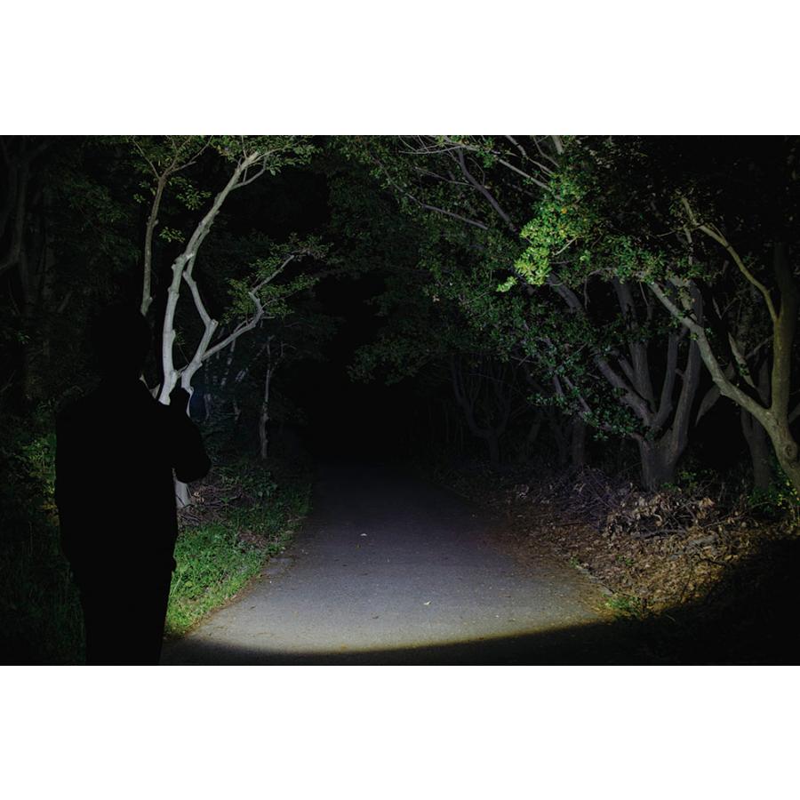 GENTOS ジェントス LED 懐中電灯 電池式 RX-032D 【明るさ370ルーメン/実用点灯2時間/耐塵/防滴】 : rx-032d : Chanto3588 - 通販 - Yahoo ...