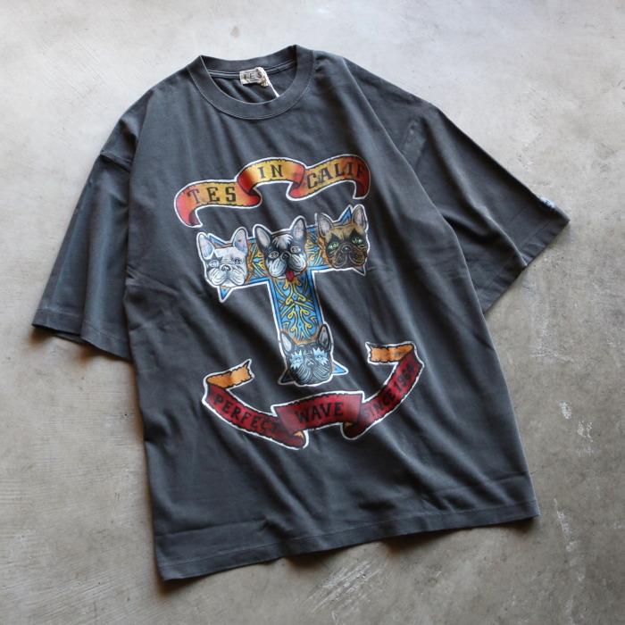 The Endless Summer テス Tシャツ メンズ レディース ブヒ バンド ピグメント ビッグTシャツ タイプA BUHI ...