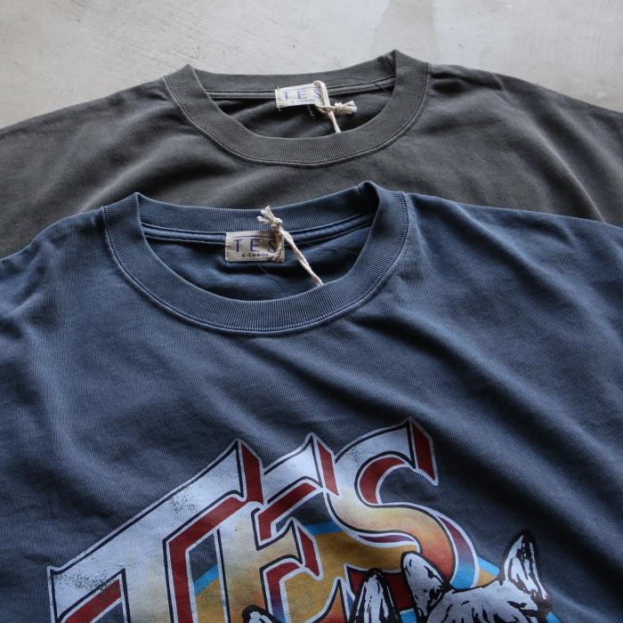 テス Tシャツ ユニセックス ブヒ バンド ピグメント ビッグTシャツ タイプB BUHI BAND PIGMENT T-SHIRT Type ...