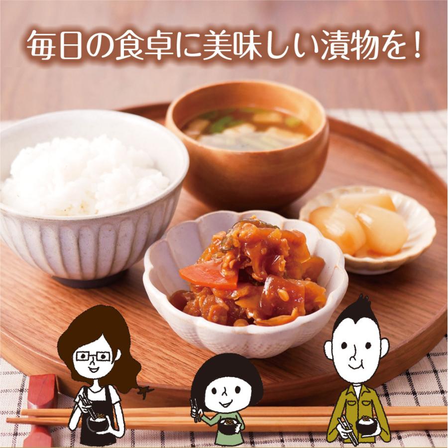 漬物 五種野菜金山寺味噌漬け 160g メール便 送料無料 漬け物 国産 :3-415:日本橋いなば園 - 通販 - Yahoo!ショッピング