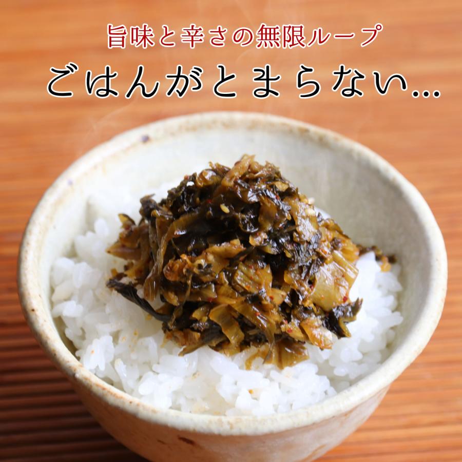 大地の生菓 本場福岡県産 辛子高菜 大地のからし高菜 260g 〜 300g 選べる3種類の味 高菜漬け 漬物 激辛 ピリ辛 明太子 ご飯のお供 おにぎり 炒飯 : 大地の生菓 - 通販 ...