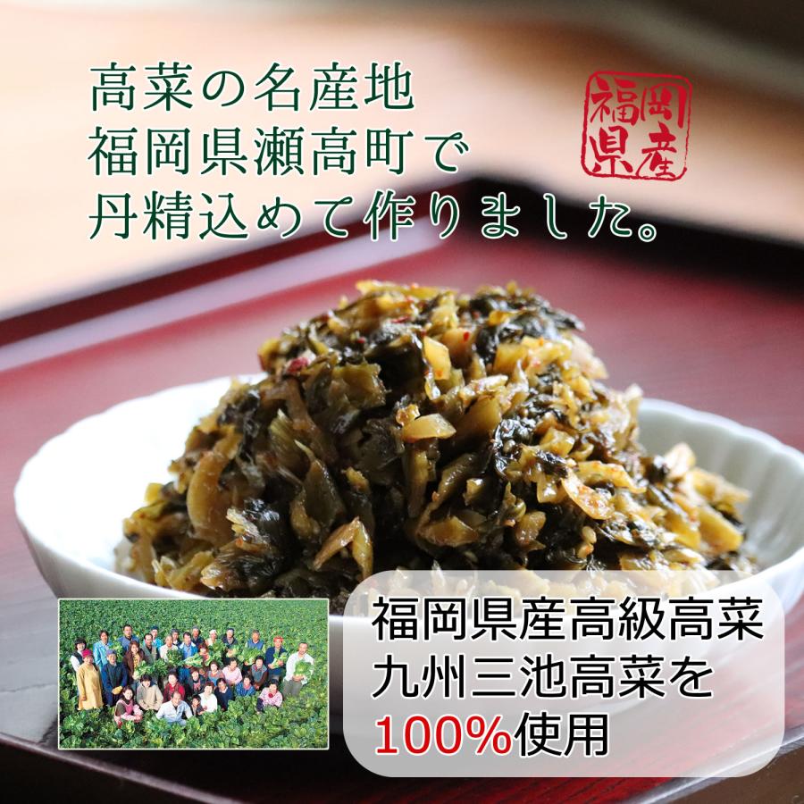 大地の生菓 本場福岡県産 辛子高菜 大地のからし高菜 260g 〜 300g 選べる3種類の味 高菜漬け 漬物 激辛 ピリ辛 明太子 ご飯のお供 おにぎり 炒飯 : 大地の生菓 - 通販 ...