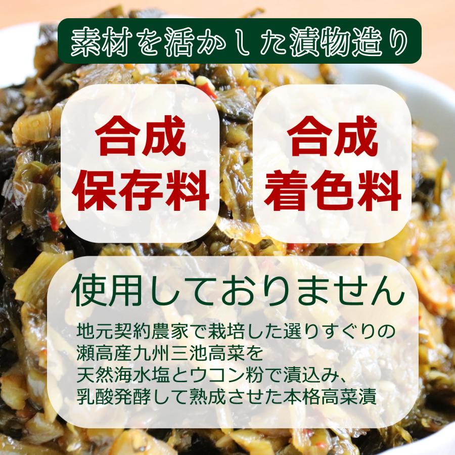 大地の生菓 本場福岡県産 辛子高菜 大地のからし高菜 260g 〜 300g 選べる3種類の味 高菜漬け 漬物 激辛 ピリ辛 明太子 ご飯のお供 おにぎり 炒飯 : 大地の生菓 - 通販 ...