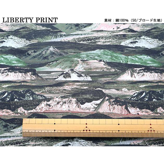 リバティプリント《50-ブロード》マニング（グリーン系）Manning 3633283-b-13d 国産ブロード生地 廃盤 ハギレ LIBERTY :3633283-b-13d:ちびちび ...