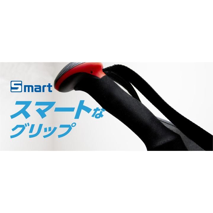 SINANO シナノ トレッキングポール 2本セット 登山 ストック FAST-115A/S アンチショック 伸縮タイプ スカイ 送料無料 FAST115 ファスト115 A/S AS ...