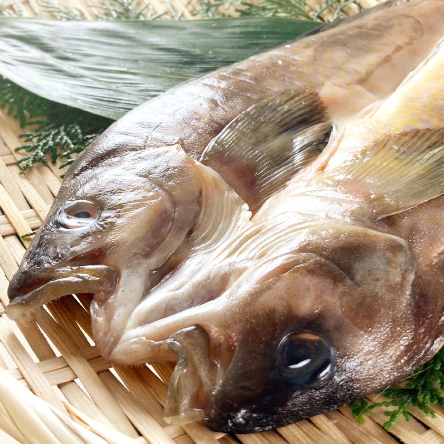 (b011-01)自家製無添加干物 北海道羅臼産 特大サイズ(約400g) 真ホッケの開き 3枚【本州・四国エリア送料無料】 : 海マルシェちくまる - 通販 - Yahoo!ショッピング