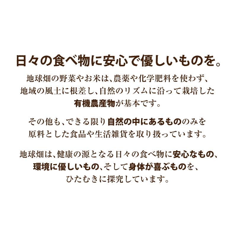 ベビーフード 有機野菜のペースト3種類アソート 計9袋セット(メール便送料無料)離乳食 有機JAS 無添加 有機野菜 国産 JAS オーガニック レトルト パウチ 5ヶ月 :baby ...