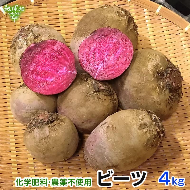 ビーツ 4kg 化学肥料・農薬不使用 冷蔵便 鹿児島県産 宮崎県産 テーブルビート 火焔菜 国産 サトウダイコン ベタシアニン 食べる輸血 洗い 大きさおまかせ : 地球畑 - 通販 ...