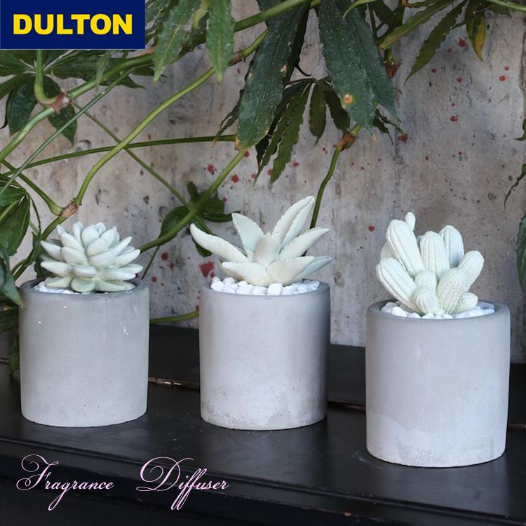ダルトン フレグランス ディフューザー リトル ジェム カクタス アロエ G875-959 サボテン 多肉 ルームフレグランス アロマ 芳香剤 玄 : choice-select - 通販 ...