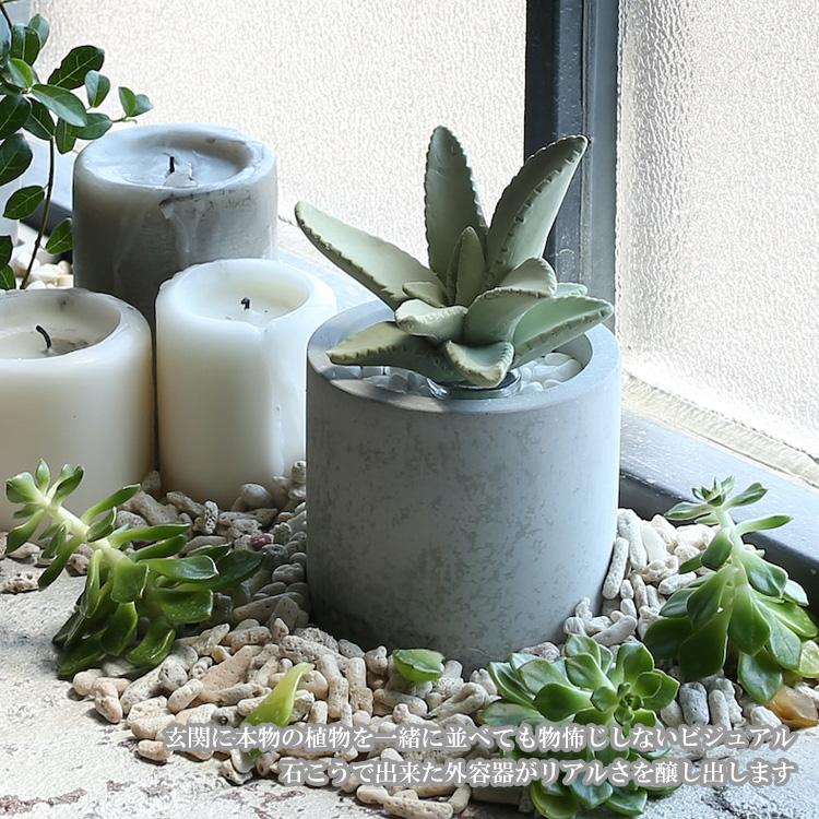 ダルトン フレグランス ディフューザー リトル ジェム カクタス アロエ G875-959 サボテン 多肉 ルームフレグランス アロマ 芳香剤 玄 : choice-select - 通販 ...