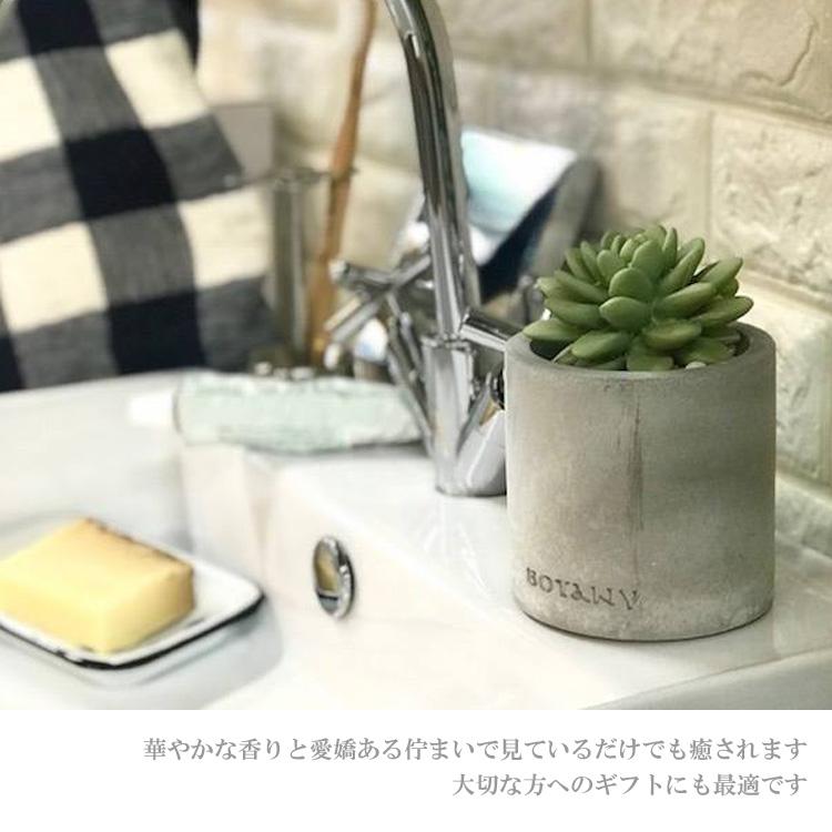 ダルトン フレグランス ディフューザー リトル ジェム カクタス アロエ G875-959 サボテン 多肉 ルームフレグランス アロマ 芳香剤 玄 :an114dl-g875959 ...