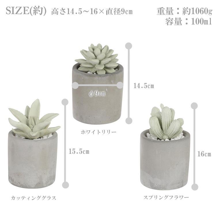 ダルトン フレグランス ディフューザー リトル ジェム カクタス アロエ G875-959 サボテン 多肉 ルームフレグランス アロマ 芳香剤 玄 : choice-select - 通販 ...