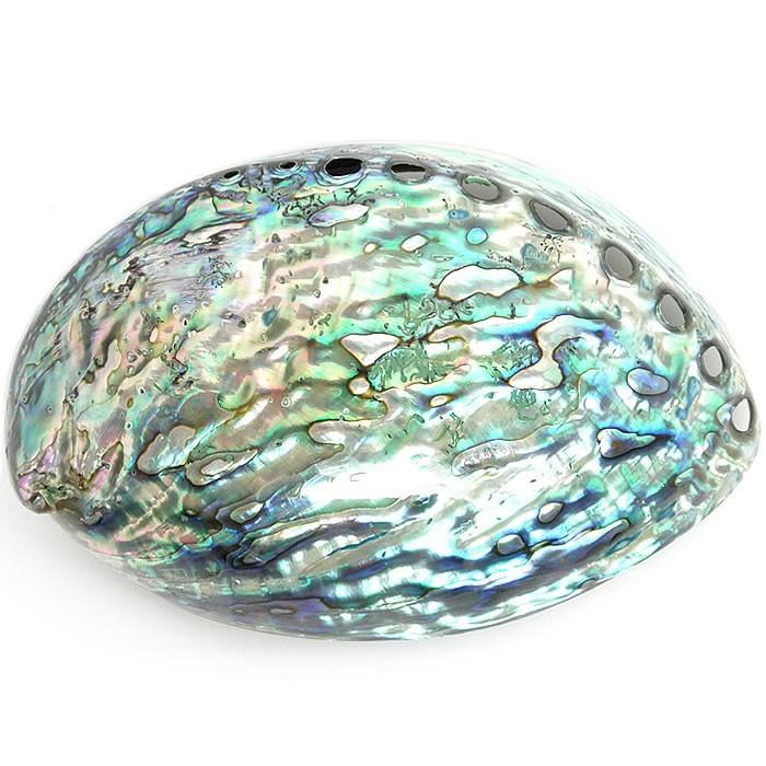 アバロン貝（お香皿、さざれ石置き皿）（アバロンシェル、アヴァロン貝） サイズ（縦×横×高さ）約8×12cm×2.5cm【※メール便不可 ...