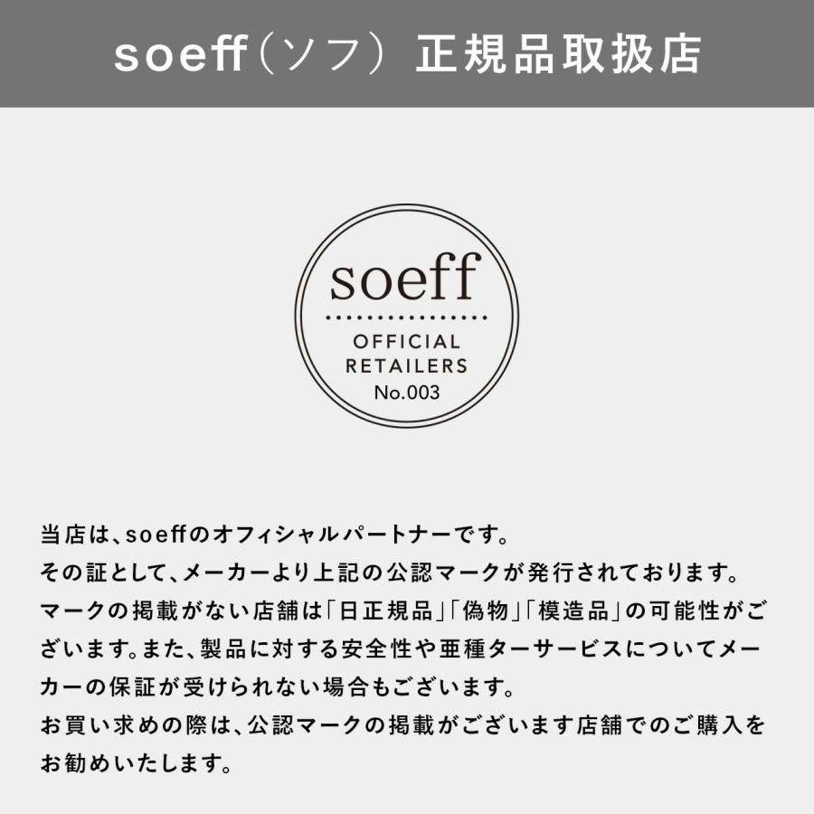 soeff | ソフ ブライティングミスト P -POIR- 110ml オイルミスト ボディミスト ツヤ ヘアカラー ハイトーン ギフト 口コミ フローラル : CHOUCHOU Yahoo ...
