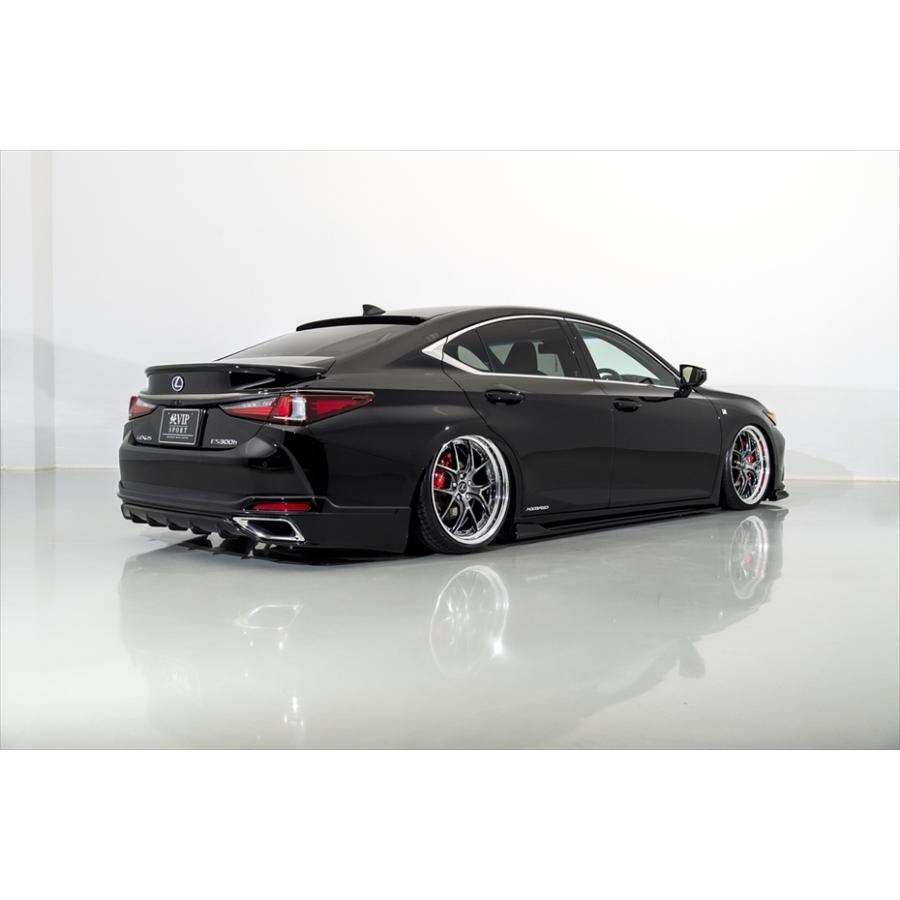レクサス ES300h AXZH10 前期 F-SPORT/versionL ルーフスポイラー 純VIPSPORT AIMGAIN/エイムゲイン : クロノコーポレーション ヤフー店 - 通販 ...