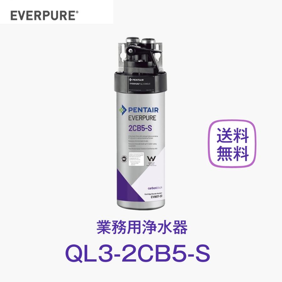 エバーピュア QL3-2CB5-S 浄水器 業務用 フィルターヘッド付 : 厨房 キッチンプラス - 通販 - Yahoo!ショッピング