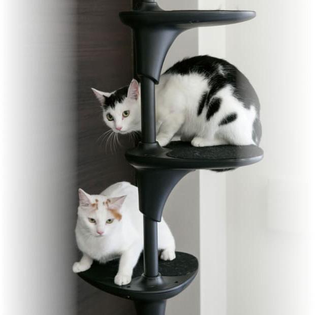 OPPO（ペット） キャットフォレスト2 ホワイト Cat Forest2 OPPO オッポ 4904771904351 キャットタワー : ドッグウェアのCIERA - 通販 - Yahoo ...