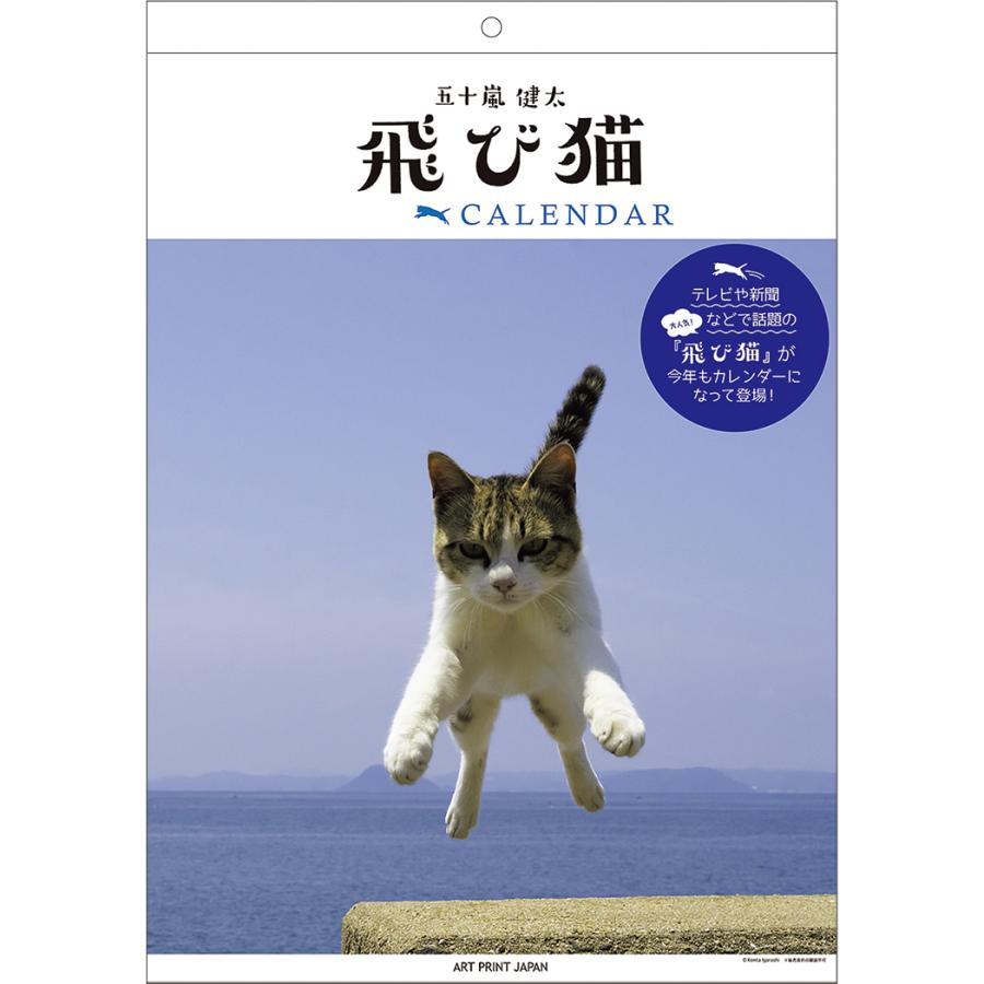 2024Calendar 飛び猫 五十嵐健太 壁掛けカレンダー2024年 スケジュール ねこ APJ 動物写真 書き込み :apj-2024-cl-047:おもしろマニアックグッズの通販店 ...