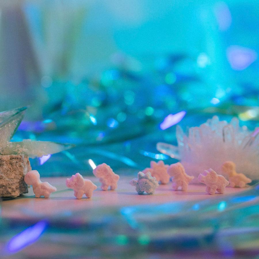 CHAFF SILICA MINI BATH BOMBS [ 恐竜 ] カフシリカ ミニバスボム もみ殻シリカ バスボム 入浴剤 プレゼント お風呂 ギフト 赤ちゃん : レインフォレスト ...