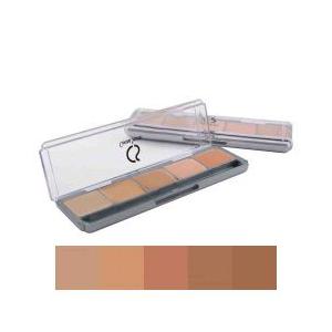 ハイビジョン対応撮影用コンシーラー5色パレット＃4（一般的な肌色の方） FPK04 | プロのメイク,プロの使うコンシーラ,ハリウッド,女優 ...