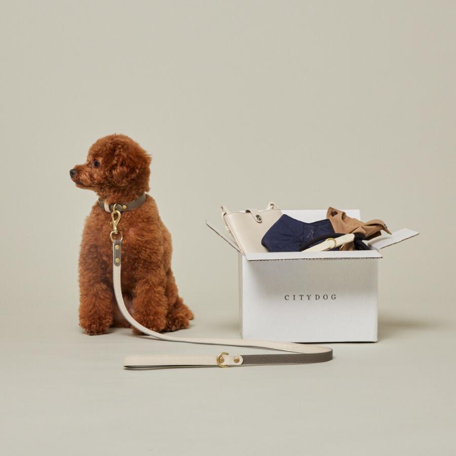 citydog シティドッグ 1weekお散歩セット ｜ 犬 猫 ペット 福袋 2024 伸縮 首輪 リード ハーネス コート ファッションリード 2頭引き 多頭 中型犬 小型犬 ...
